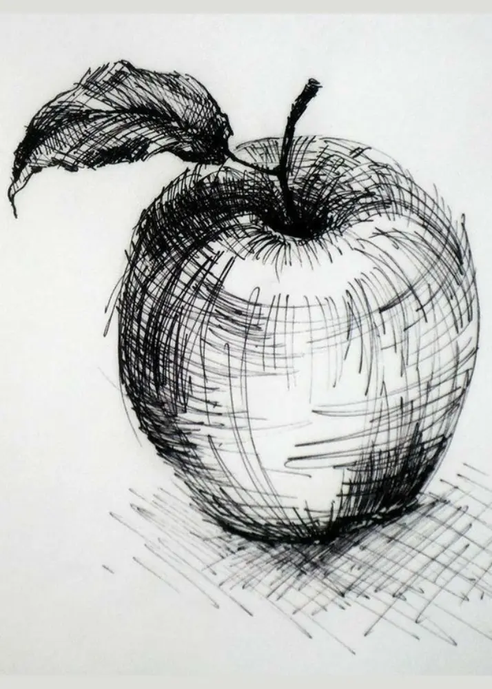 Drawing Class 10-Weeks